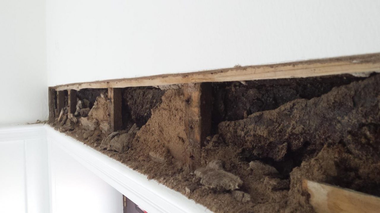 Damp Proofing vs. Damp Treatment: What's the Difference? - Damp Works NI