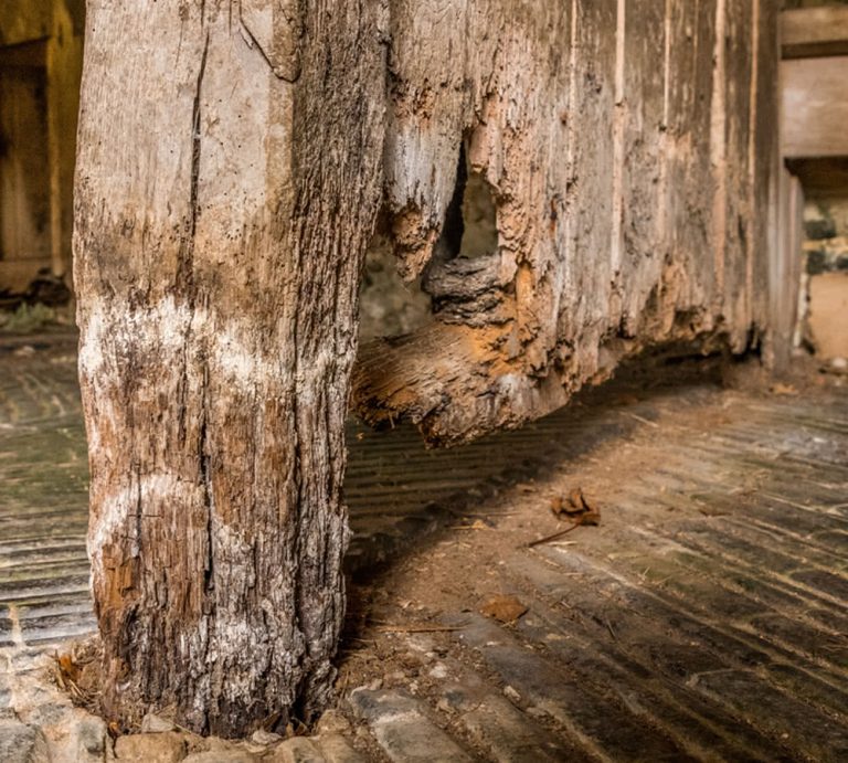 Understanding Damp Ratings: What Do They Mean for Your Property? - Damp ...